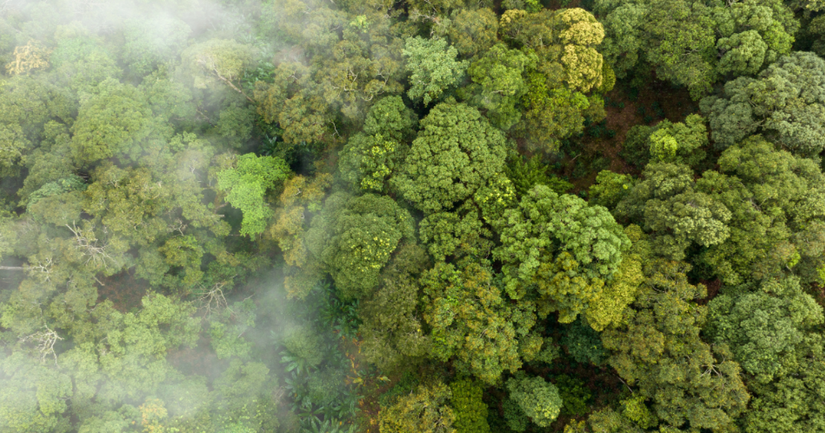 Carbon sequestration critical for… | Energy & Resources Knowledge Hub