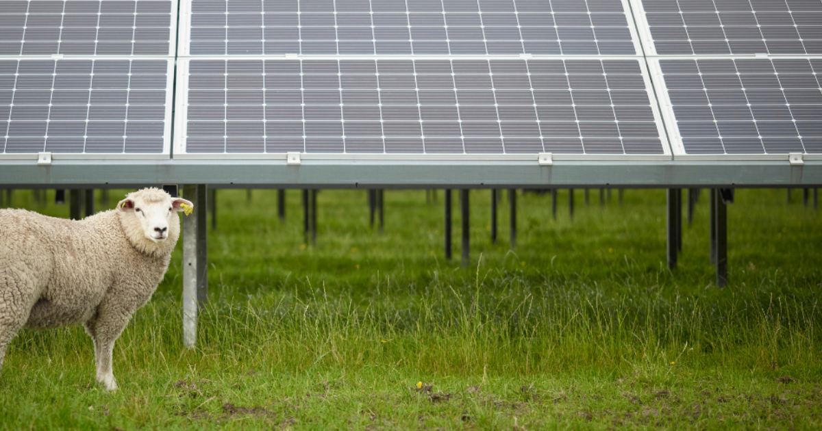 Agri-Renewables Innovation… | Energy & Resources Knowledge Hub