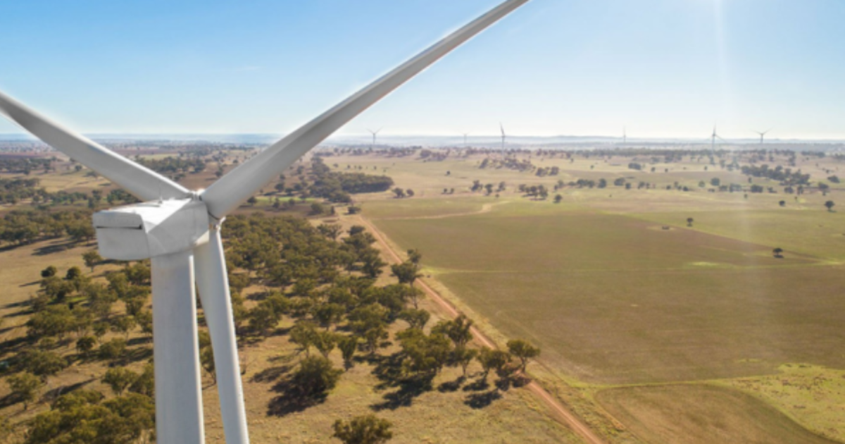 Bellingen Shire achieves 100%… | Energy & Resources Knowledge Hub